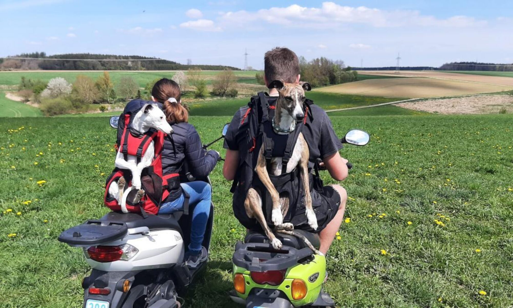 Kontakt - k-batohy.cz